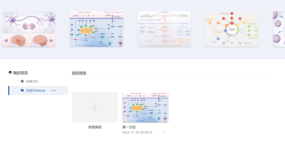 最高5000元！国内首个在线科研绘图平台Figdraw发布奖学金！_素材_高清图_基础