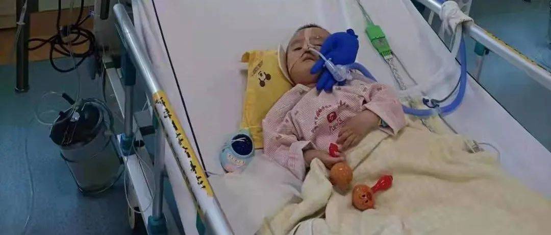 爱心接力！惠安涂寨一岁半宝宝突患重症肺炎、呼吸衰竭在ICU抢救..._孩子_遗传_康复