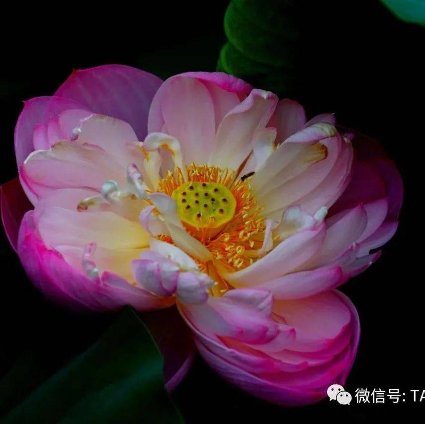 王阳明：世间修行，尽在 三渡”人生路才能是一种
