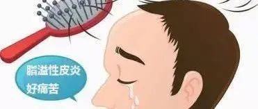 从脾胃论治脂溢性皮炎_升降_患者_太子参