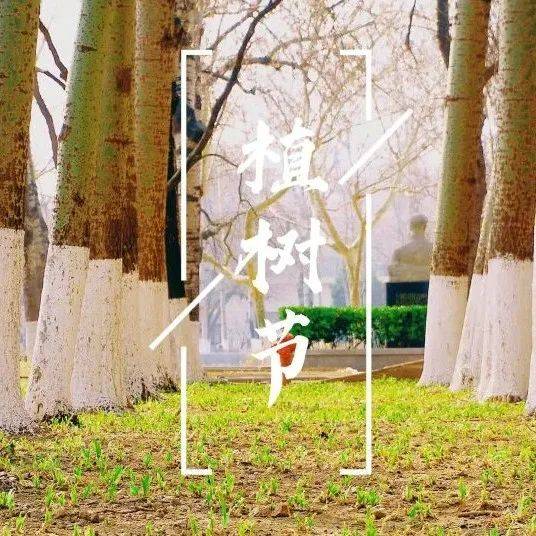 植树节|点亮南开的一抹 绿”符诗雅邹晓婷春意