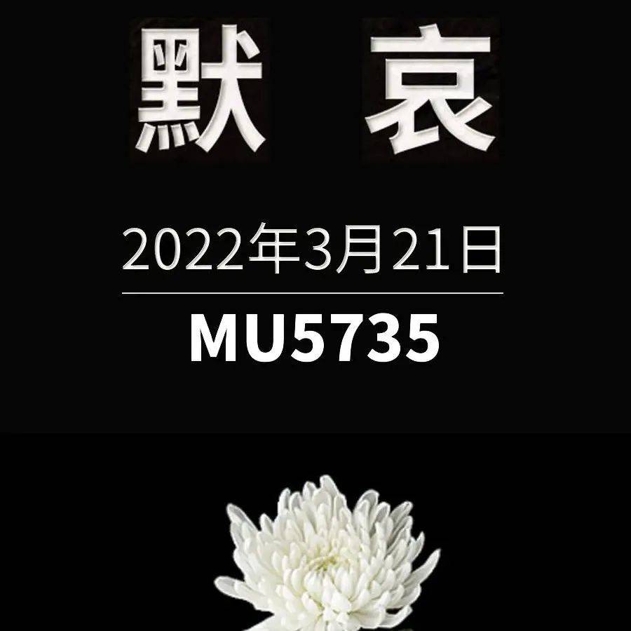 全部遇难！_东航MU5735上132人全部遇难_黑匣子_新华社