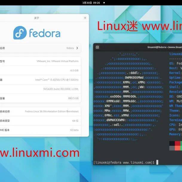 Fedora 36 Beta 已推出，GNOME 42 和 Linux 5.17_版本_支持_beta