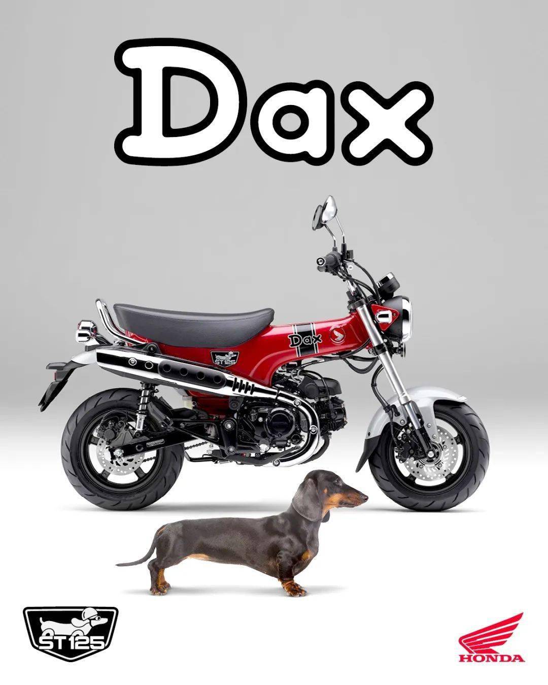 Honda ST125 Dax 车型简介_搜狐汽车_搜狐网
