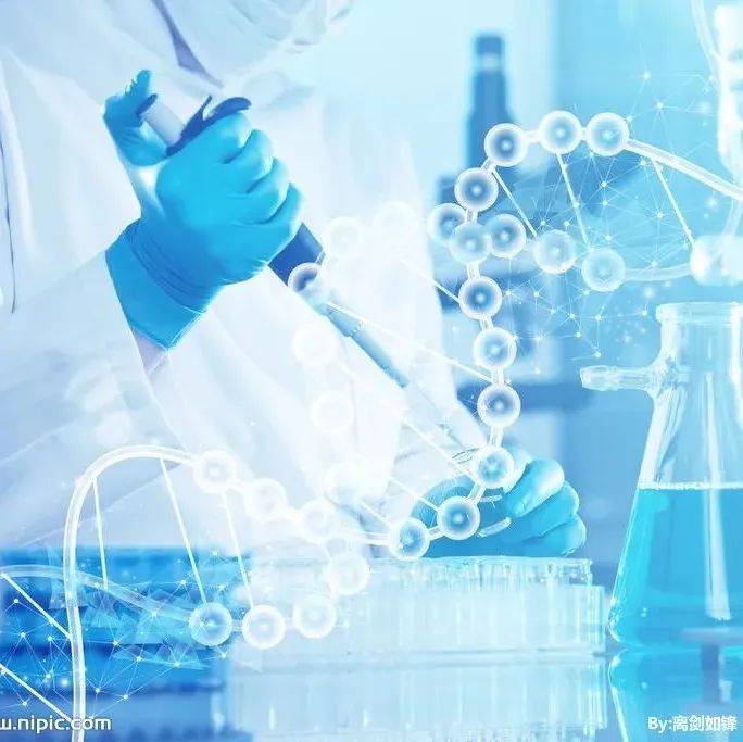 Advanced Science：冷泠 张抒扬 钟武合作开发了治疗局限性硬皮病的新方法 皮肤 研究 干细胞