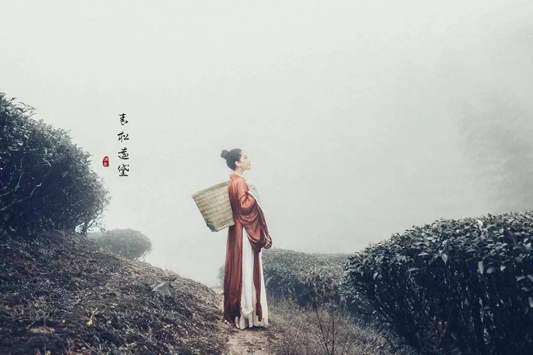 余生很贵,别与烂人纠缠才能都是平地头蛇