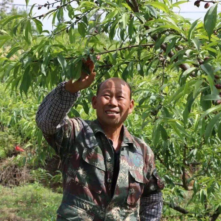 【喜迎省第十三次党代会】玉屏瓮阳：产业从无到有，生活从苦到甜_发展_村民_乡村