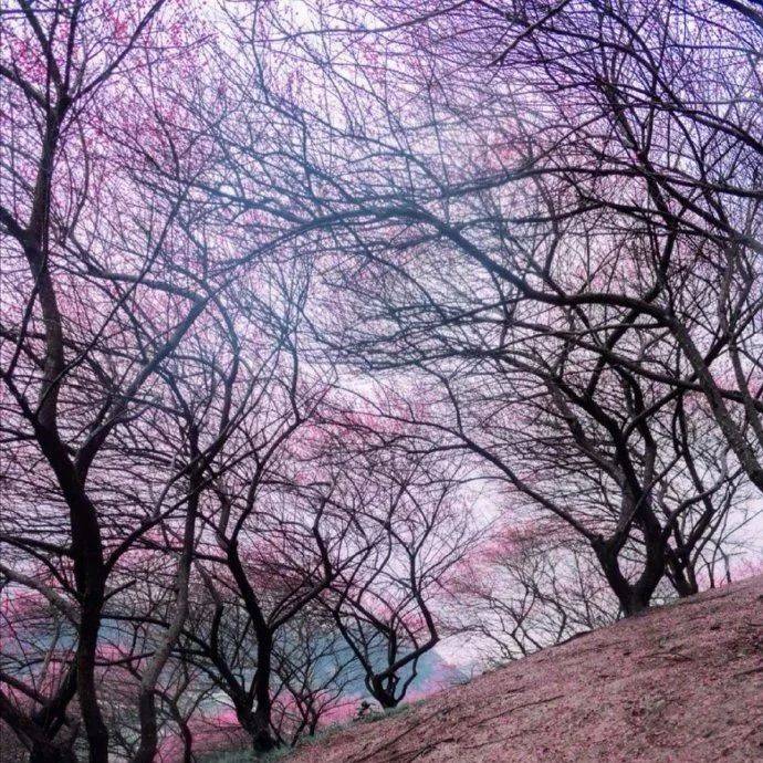 一日禅:余生很短,请变得爱玩生活人生玩乐