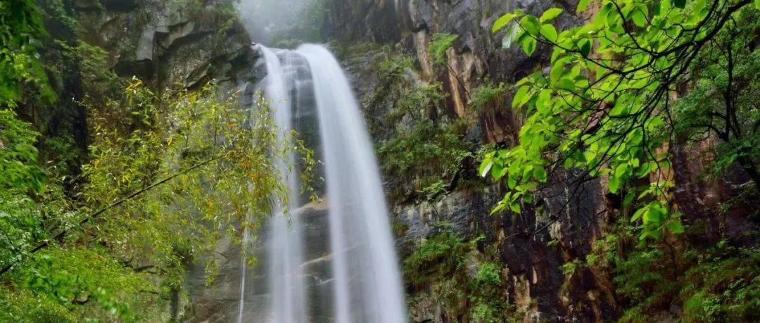 皖美潜山 每日一景:板仓自然保护区孔令群红河谷森林