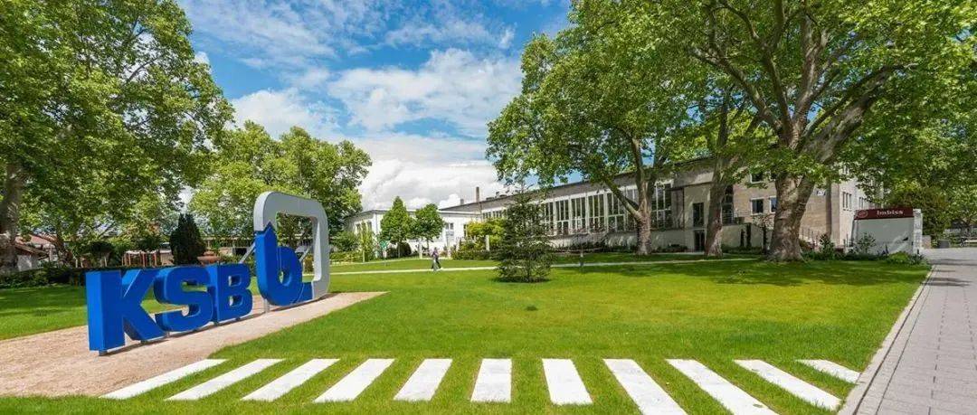 KSB凯士比发布2022Q1业绩_影响_欧元_地区