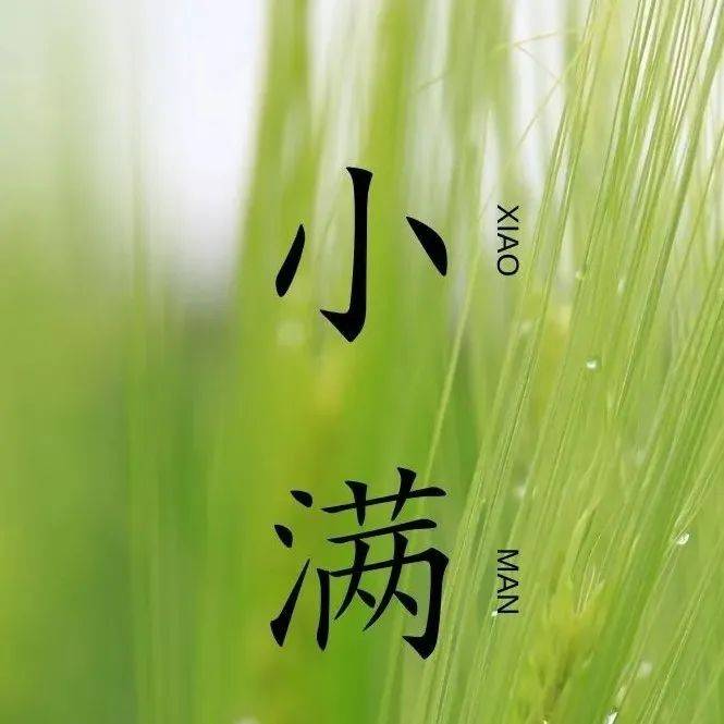 节气说丨今日 小满 王珏婉 肖紫欣 陈蕊