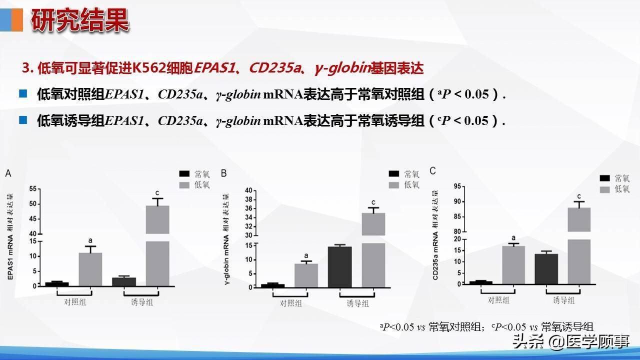 低氧条件下EPAS1调控K562细胞系红系分化的作用研究_因子_诱导_环境