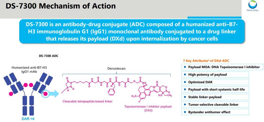 国内第2款！第一三共CD276 ADC申报临床_患者_剂量_mg