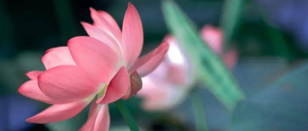 朗诵 | 人至中年，终是懂得_一生_tyyj_岁月