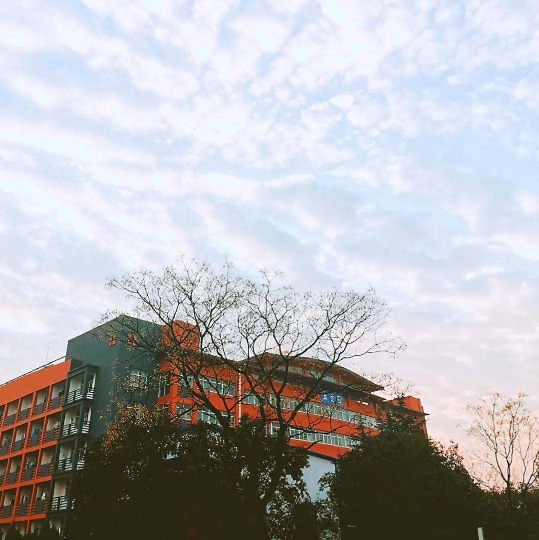 山东第一医科大学2022年本科招生咨询方式汇总！_医学_sdfmu_电话