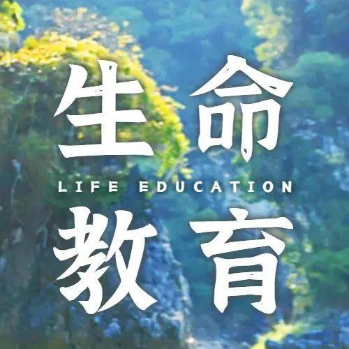 小学生为什么都爱唱《孤勇者》?这是我看过最好的答案!歌曲歌词英雄