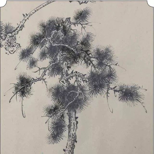 山水画技法教程，各种树的基本画法_松树_叶子_枝干