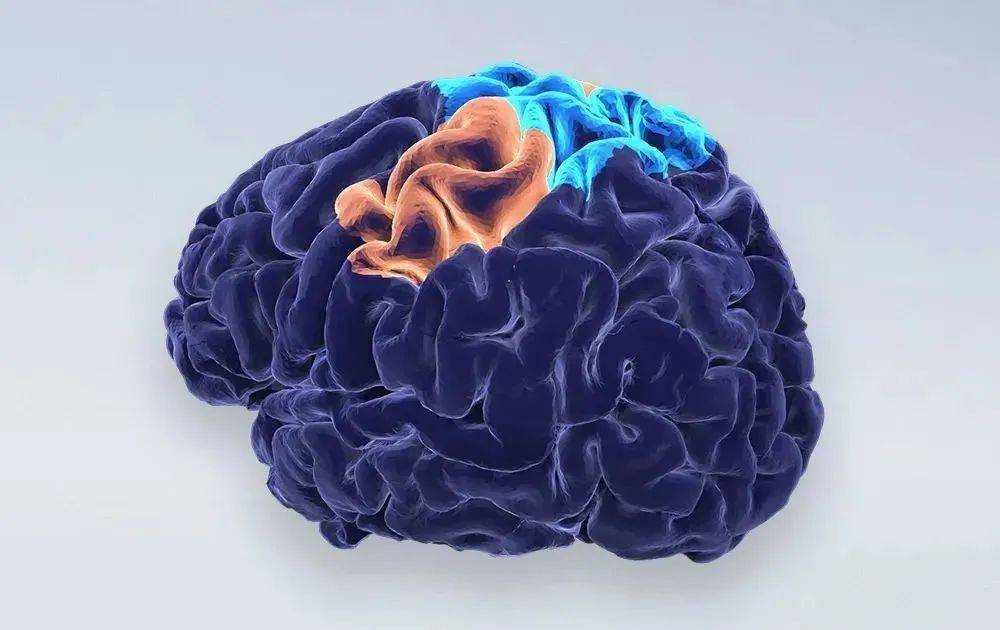 核心科技推动脑疾病疗法突破，优脑银河获评MIT “50家聪明公司”（TR50）【AI秀】_智未来_创新_企业