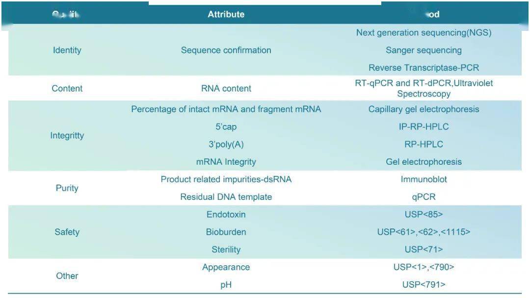 全过程的mRNA疫苗质量风险分析与应对策略_技术_生产_控制