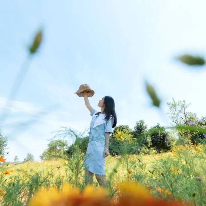 余生最好的活法：苦而不言，喜而不语郭女士一个人狐狸