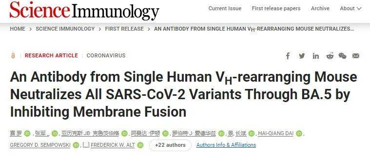 Sci Immunology|基于“人Vh重排鼠标模型"筛选的单抗通过BA.5抑制膜融合，可以中和所有Sars-CoV-2突变株_抗体_ng_基因