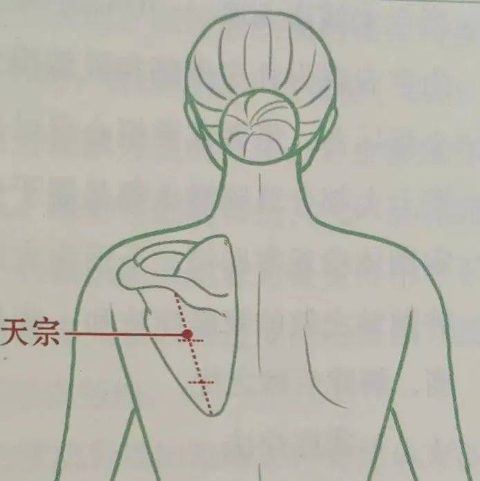 【健康科普】乳腺增生疼痛只能靠忍?错了!两个穴位揉一揉,胀痛减轻了!刮痧乳房肩胛骨