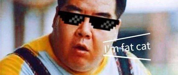 "Fat cat"什么意思？_fat_turned_forest