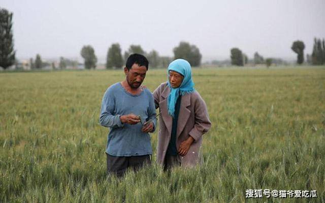 隐入尘烟结局是什么意思?男主到底活着还是死了,影片后劲好大马有铁观众生活