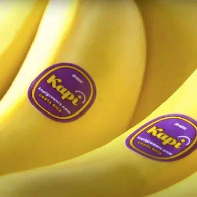 Kapi Kapi expands U.S. logistics team_the_Bryant_to