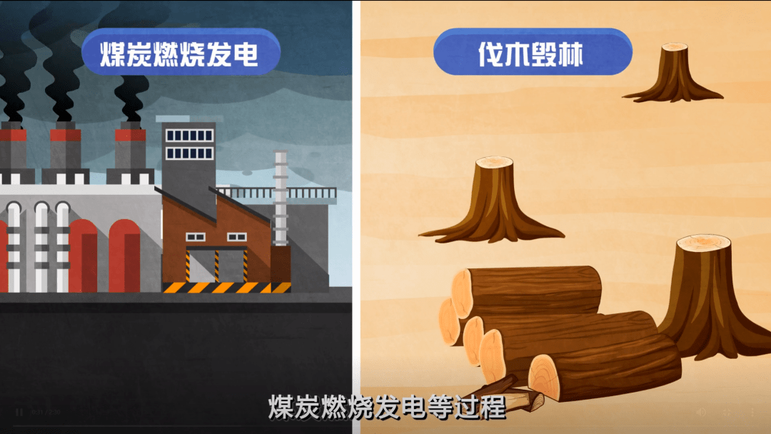 环保科普丨碳源、碳汇是什么?碳又是怎么循环的呢?大气活动地球