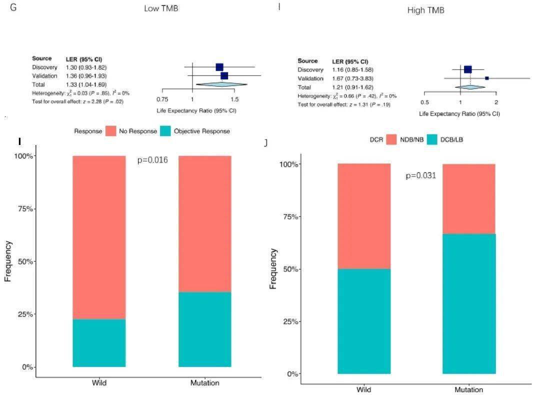 mTOR通路基因突变预测多种癌症对免疫检查 点抑制剂的反应_治疗_患者_特征