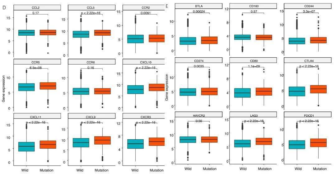 mTOR通路基因突变预测多种癌症对免疫检查 点抑制剂的反应_治疗_患者_特征