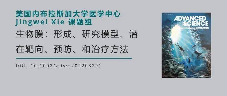 美国内布拉斯加大学医学中心Jingwei Xie课题组AS：生物膜：形成、研究模型、潜在靶向、预防、和治疗方法_处理_综述_疗法