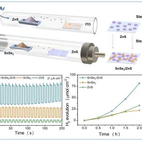 SCMs|设计并构建I型SnSe2/ZnS异质结构提升其光电化学探测及水分解性能_器件_范德瓦尔斯_徐新龙