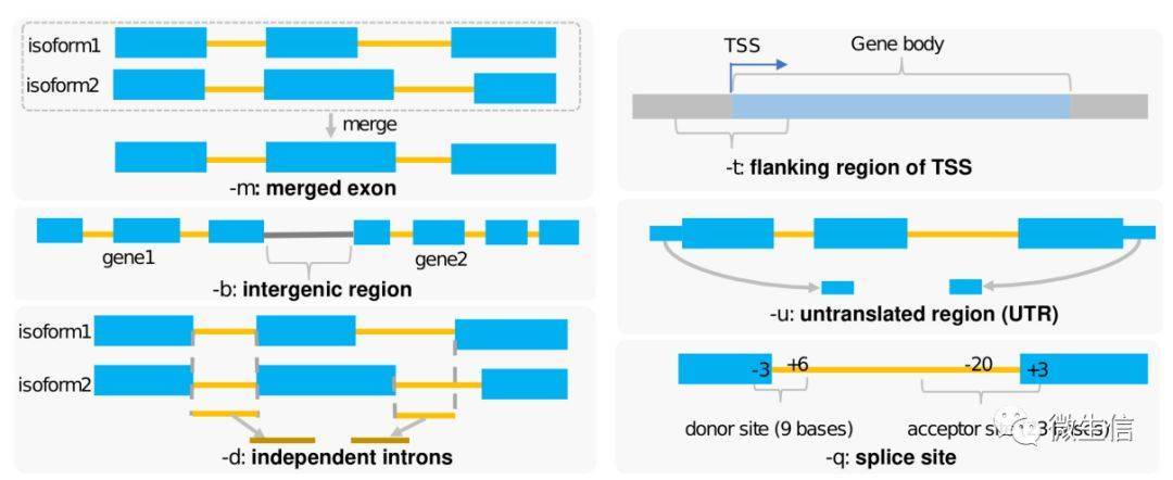 安利一款纯Python编写的GTF处理脚本 - GTFtools_pyGTF_gtf_demo