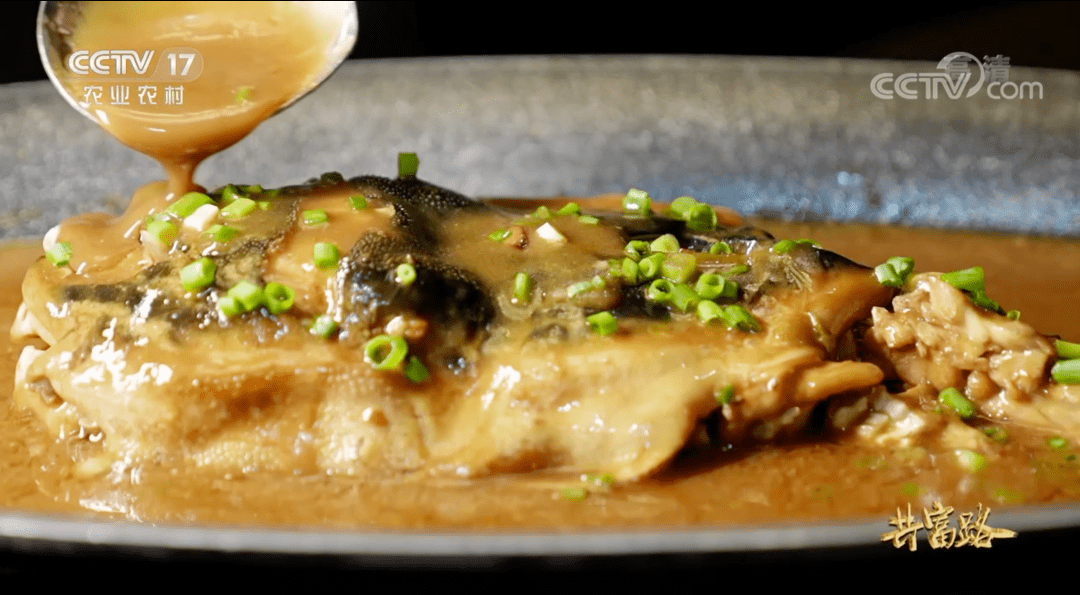 这个天然“大毒物”，吃完“百鲜无味”、赚钱“贵不数鱼虾”_河豚_养殖_曹妃甸