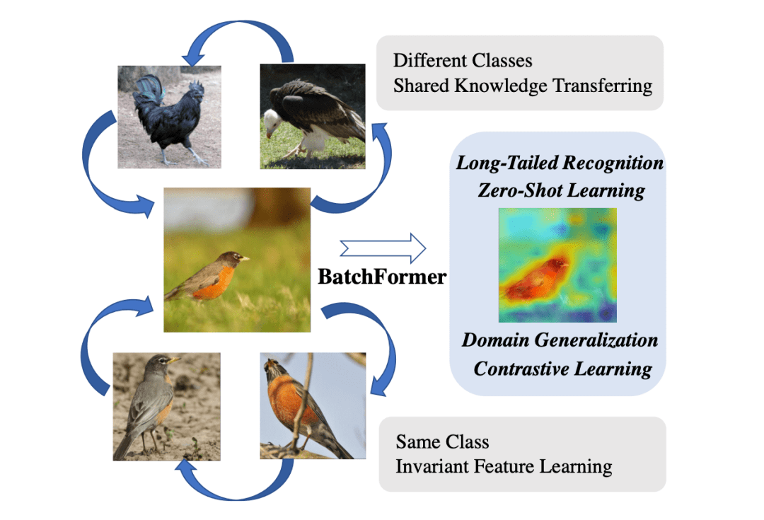 CVPR 2022 | 即插即用！BatchFormer：简单有效的探索样本关系通用模块_数据_测试_训练