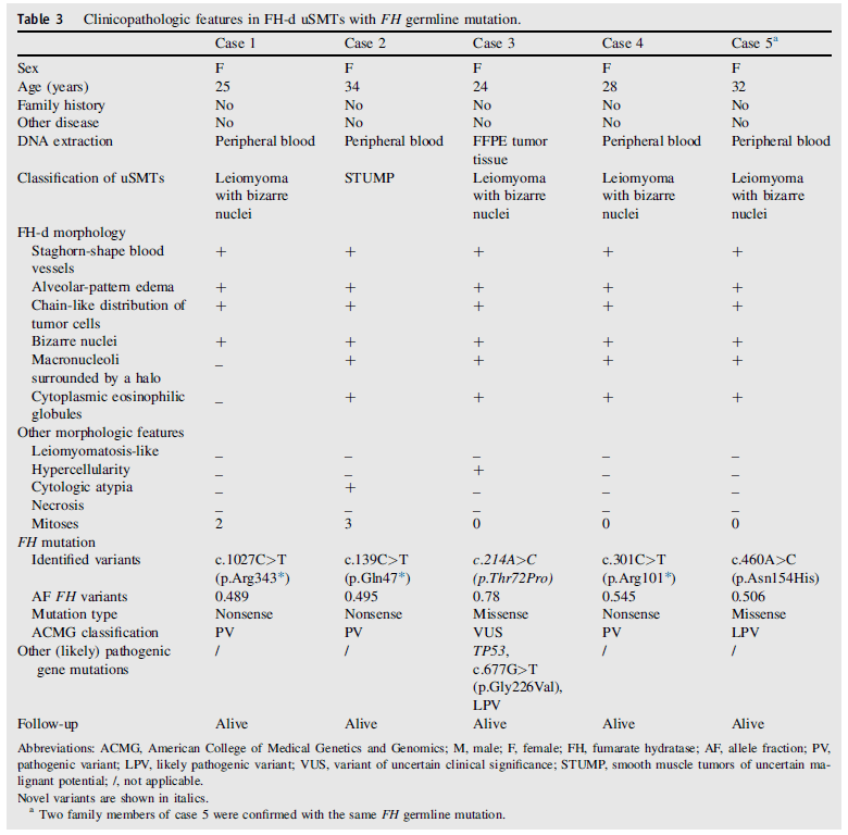 为啥有的子宫平滑肌瘤建议做FH基因检测呢？可能与HLRCC综合征相关_uSMTs_细胞_特征