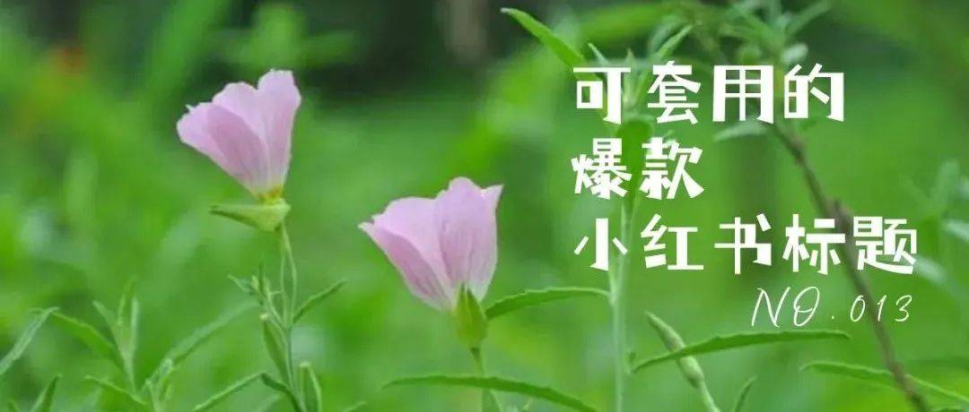 1000个可套用的小红书爆款标题文案(第13弹)灵感年级大片