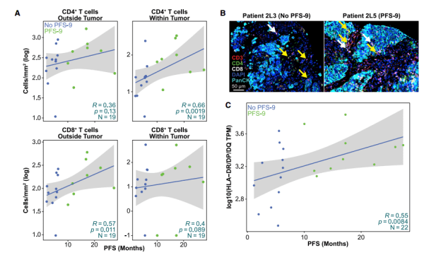 文献解析 | 个性化新抗原疫苗NEO-PV-01联合化疗和PD-1抗体治疗非鳞状NSCLC_患者_细胞_恶性肿瘤