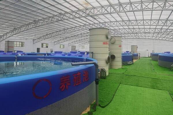 Smart technology makes fish farming easier_ponds_Wei_the