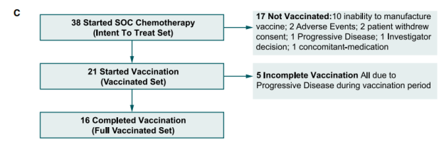 文献解析 | 个性化新抗原疫苗NEO-PV-01联合化疗和PD-1抗体治疗非鳞状NSCLC_患者_细胞_恶性肿瘤
