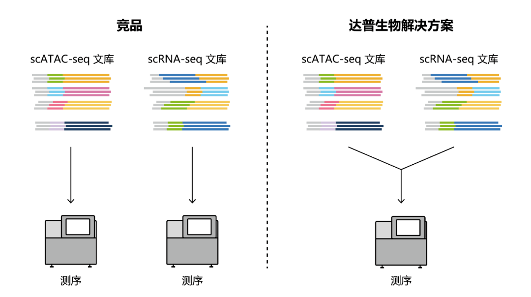 新品发布丨全球首创！兼容文库混样测序单细胞表观组试剂盒（scATAC-seq）正式发布!_产品_技术_干细胞