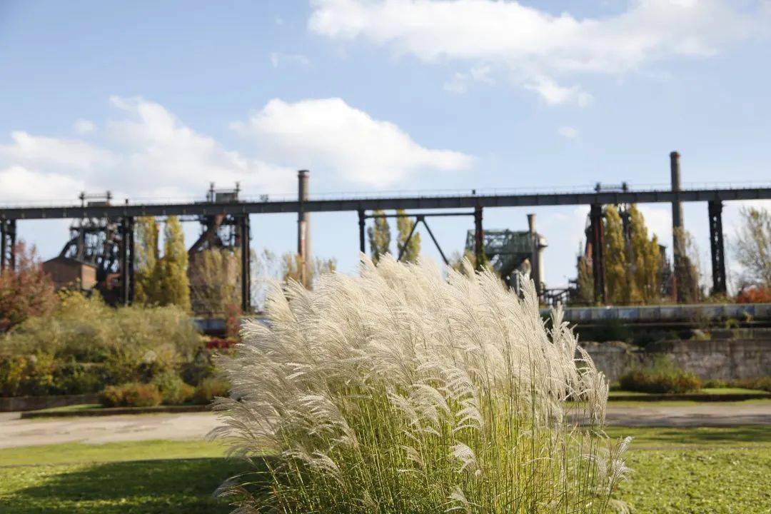 本月主题：后工业景观 | 案例合集来啦！！_公园_设计_德国