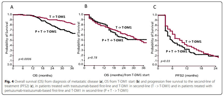 10个HER2-ADC耐药机制_治疗_细胞质_研究
