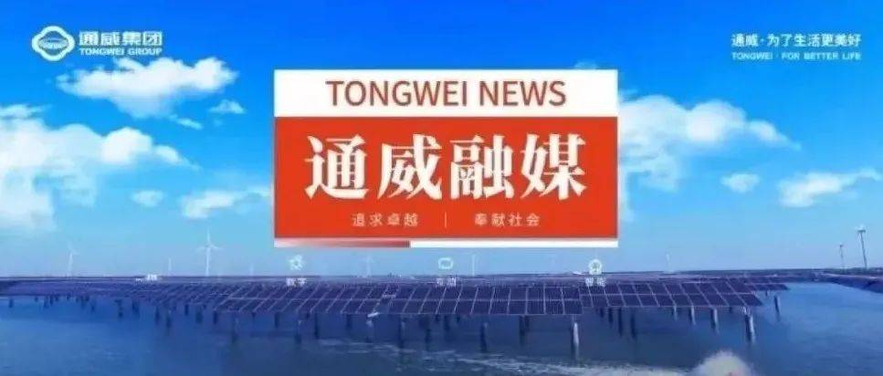 通威融媒丨今日精彩分享，一键了解通威最新资讯 新能源 上海合作组织 新闻