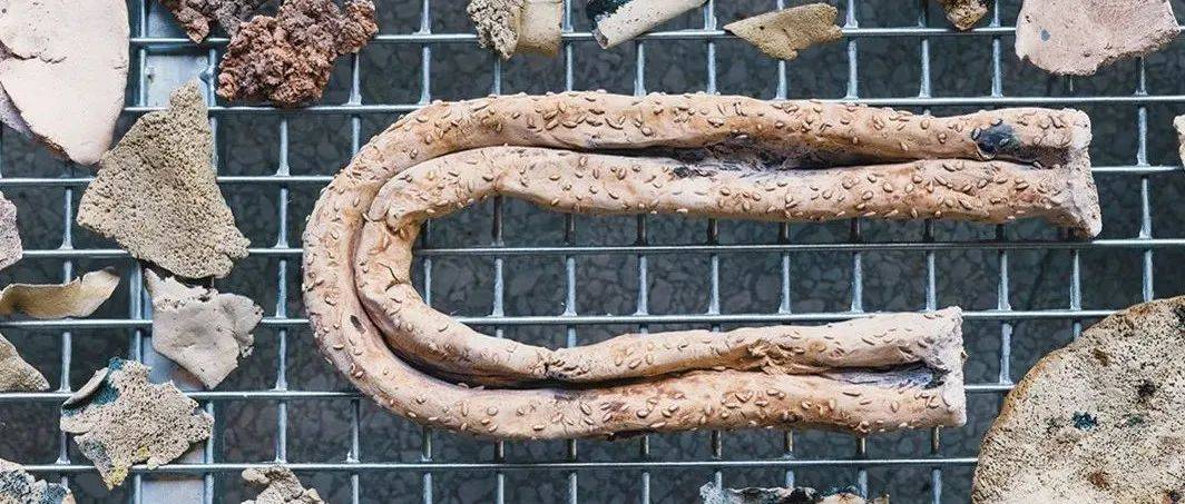 改变的种子： 娜塔丽·布里苏伊拉和朱莉娅·布莱恩·威尔森谈朱玛娜·曼纳的艺术｜ARTFORUM杂志_电影_aakoub_档案