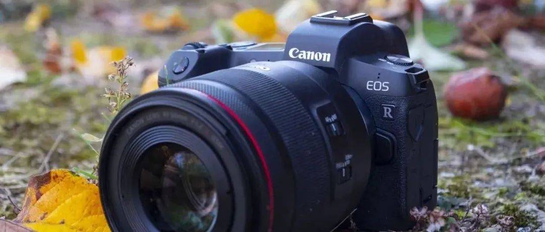 佳能EOS R8 (EOS R Mark II)将现身？规格传闻起……_对焦_Beta_消息