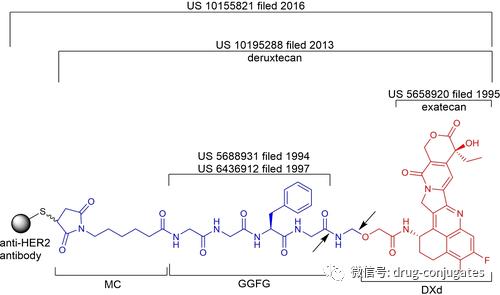 FDA已批准的ADC药物专利深度分析_linker_抗体_卡奇