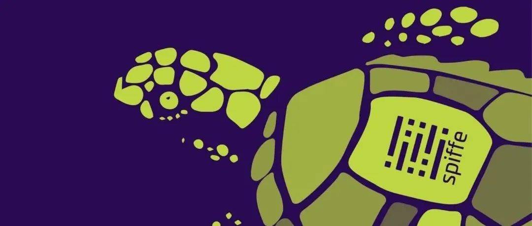 《零信任的基石：使用 SPIFFE 为基础设施创建通用身份》翻译电子书分享_乌龟_项目_秘密